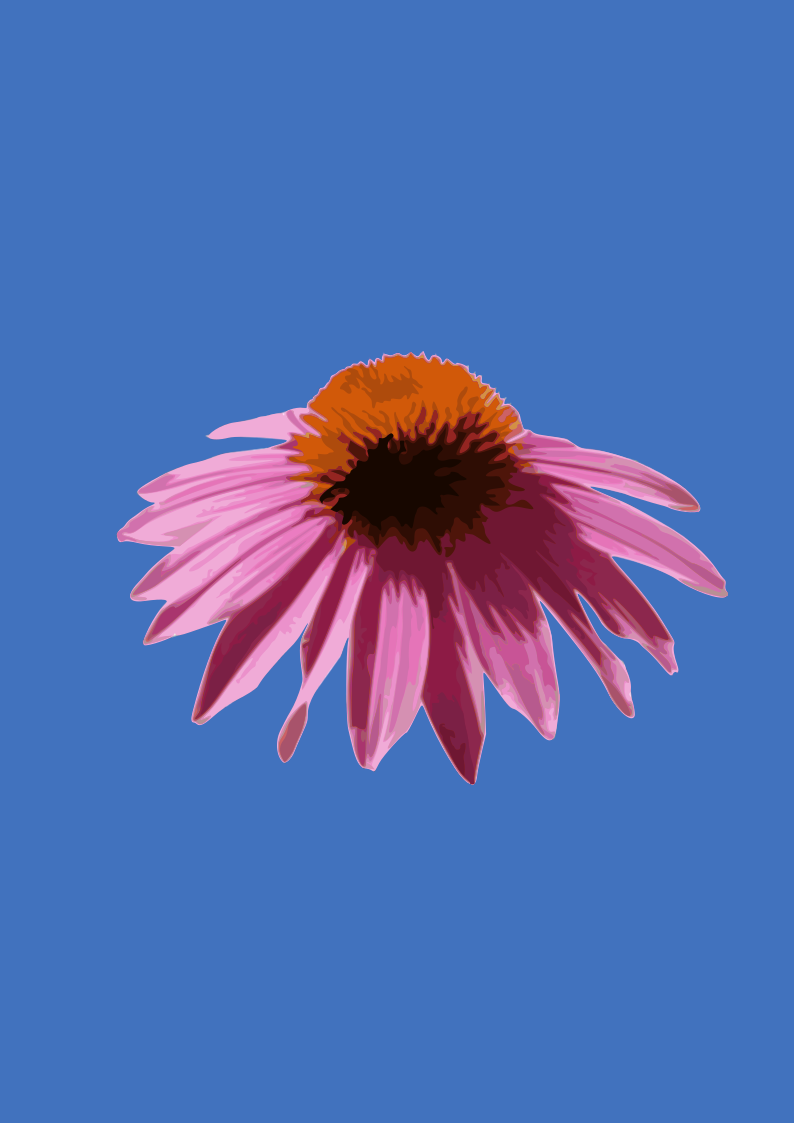 plant palette favicon – plant palette builder